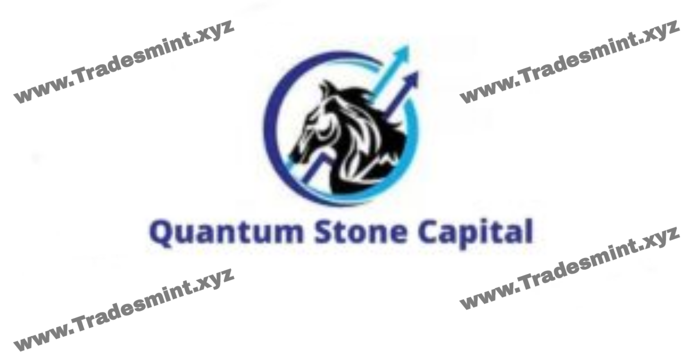 Quantum Stone Capital (2021) – TradesMint